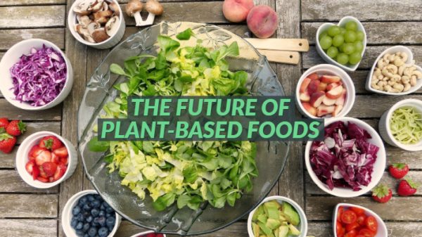The future of plant-based foods - MiMi FOODS